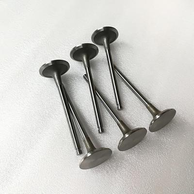 China Nissan Diesel Engine Parts SD20 SD22 SD30 Intake And Exhaust Valve for sale