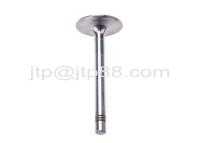 China Z22 Z24 Intake Valve Exhaust Valve For NISSAN 13201-N8501 13202-N8500 for sale