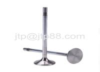 China Z22 Z24 Intake Valve Exhaust Valve For NISSAN 13201-N8501 13202-N8500 for sale