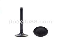 China Electrical Equipment Parts RB30 VG30 Intake Exhaust Valve For Japanese Parts 13201-V5202 for sale