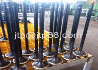 China Silvery & Black Diesel Engine Valve UD UD43 Newland Auto Parts For Nissan 13201-90010 for sale