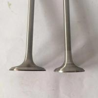 China Car Truck Accessories RF8 Intake Valve  Exhaust Valve For Nissan 13202-97016 for sale