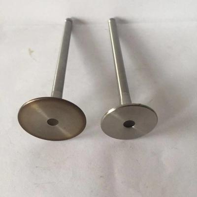 China Car Truck Accessories RF8 Intake Valve  Exhaust Valve For Nissan 13202-97016 for sale