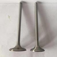 China 6DC 8DC 10DC  Diesel Engine Valve For Mitsubishi 31104-00101 30601-01101 for sale