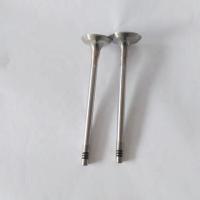 China Engine Intake Exhaust Valve 4D0 Race Forged Engine Valves 30604-00100 30604-01101 for sale