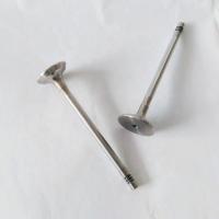 China Replacement Diesel Engine Parts  J18 TD21  Intake And Exhaust Valve For Nissan 13201-24W00 for sale