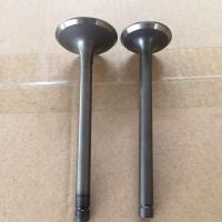 China Automobile Parts  6DS  Intake And Exhaust Valve For Mitsubishi  20801-00100 30804-01101 for sale