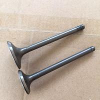 China Automobile Parts  6DS  Intake And Exhaust Valve For Mitsubishi  20801-00100 30804-01101 for sale