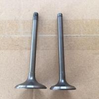 China Automobile Parts  6DS  Intake And Exhaust Valve For Mitsubishi  20801-00100 30804-01101 for sale