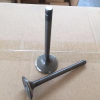 China Automobile Parts  6DS  Intake And Exhaust Valve For Mitsubishi  20801-00100 30804-01101 for sale