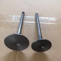 China Automobile Engine Valve B13 GA16  Intake Exhaust Valve For Nissan 13201-53Y00 13202-53Y00 for sale