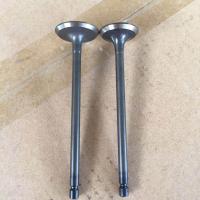 China Car Auto Parts Diesel Engine Valve  DB31 6DB 8D8  Truck Accessories for sale