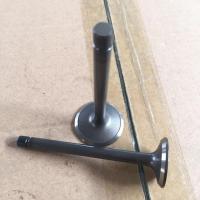 China Car Auto Parts Diesel Engine Valve  DB31 6DB 8D8  Truck Accessories for sale