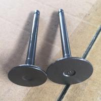 China Car Auto Parts Diesel Engine Valve  DB31 6DB 8D8  Truck Accessories for sale
