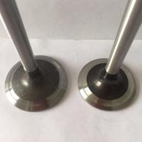 China 2DR 4DR5 6DR  Engine Spare Parts Diesel Engine Valve For Mitsubishi 31304-00100 for sale