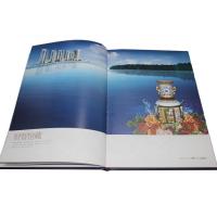 China Custom Hot Stamping Hardcover Picture Book Printing 157gsm Art Paper A4 Size for sale