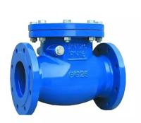 China DN80 Manifold Control Valve Swing Check Valve With Flanged Ends for sale