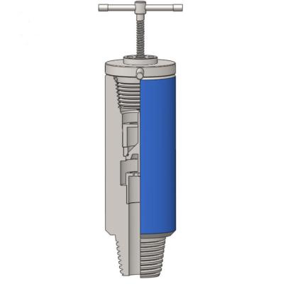 China Forging Inside BOP Valve Spare Parts API 7-1 5000psi -15000psi for sale