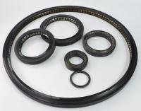 China Valve Seat Spring Energized Seals Drilling Rig Spare Parts Gate Valve Seat Seal for sale