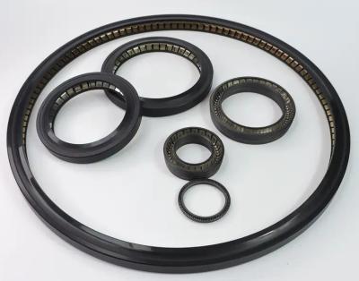 China Valve Seat Spring Energized Seals Drilling Rig Spare Parts Gate Valve Seat Seal for sale