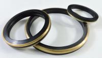 China H2s Sour Gas Service Drilling Rig Spare Parts Weco 1502 HNBR Hammer Union Seals for sale
