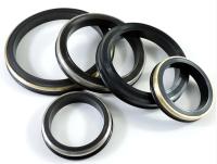 China H2s Sour Gas Service Drilling Rig Spare Parts Weco 1502 HNBR Hammer Union Seals for sale