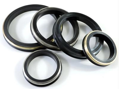 China H2s Sour Gas Service Drilling Rig Spare Parts Weco 1502 HNBR Hammer Union Seals for sale
