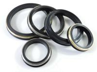 China Valve Lip Seal Ring Drilling Rig Spare Parts 4000psi Hammer Union Seal for sale