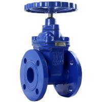 China Ductile Cast Iron Manifold Control Valve DN50 Resilient Seated Gate Valve for sale