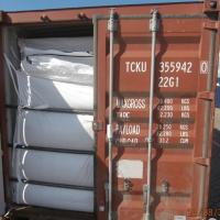 China Eco-Friendly Disposable Flexitank Container - 24,000L Capacity PP/PE Liquid Transport Solution for Food & Chemical Industries for sale