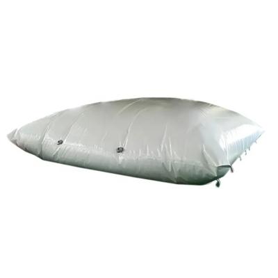 China Flexible Pillow Tank for Agriculture and Industry Liquid Storage 3000L for sale