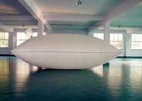 China Leakproof Seam Welded And Tested For Leaks Pillow Tank Size Customization Provided Reverse Osmosis Processing Type Storage for sale