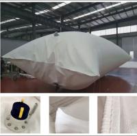 China 24000 Liters Capacity Reusable Flexibag Container with 10-Year Lifespan and OEM Customization Options for sale