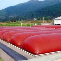 China Mechanical Mixing Method Biogas Digester Tank in Cylindrical Rectangular Pillow Shaped Forms Suitable for Low Pressure Below 10 KPa for sale