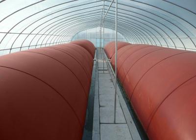 China Mechanical Mixing Method Biogas Digester Tank in Cylindrical Rectangular Pillow Shaped Forms Suitable for Low Pressure Below 10 KPa for sale