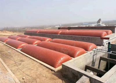 China Biogas Digester Tank Low Pressure Anaerobic Digestion 10-1000KG Capacity Mesophilic Thermophilic for sale