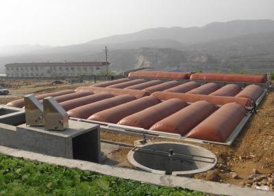 China Underground Biogas Digester Tank with Red Mud PVC Mesh - 10-20kg Weight, -30°C to 70°C Temperature Range for sale