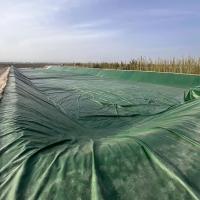 China HDPE Geomembrane Liner 0.5-3.0mm Waterproof Plastic Sheet for Swimming Pools and Chemical Storage for sale