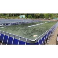 China Eco-Friendly PVC Koi Pond for Aquaculture - High-Strength Material with Custom Sizes for Fish & Shrimp Farming for sale