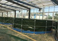 China Multi Functional PVC Fish Pond with Galvanized Reinforcement - Flexible 100L to 2000L+ Capacity for Aquaculture Operations for sale
