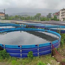 China Outdoor Galvanized Steel Pipe PVC Fish Pond Breeding Circular Water Pool 10-50ft Diameter for Family Farms for sale