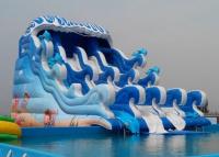 China Commercial Inflatable Water Play Equipment - 18oz PVC Construction, 500 lb Capacity, Multiple Design Options for sale
