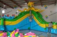 China High Durability PVC Inflatable Lap Pool for Kids & Adults with 1-Year Warranty and Customizable Dimensions for sale