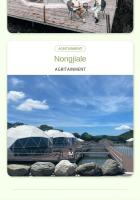 China 6m Transparent Starlight Camping Tent with Private Bathroom - Custom Glamping Cabin for Outdoor Luxury Accommodation for sale
