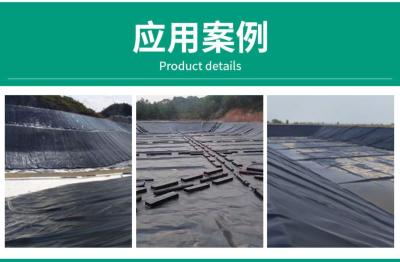 China Biogas Digester Tank 1-1000 M³ Eco-Friendly Anaerobic Digestion with Digestate Outlet for sale