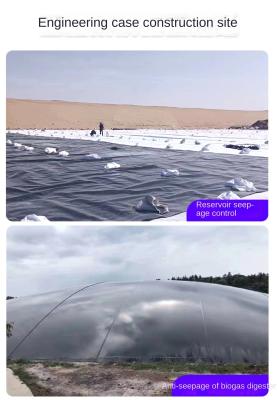 China HDPE Geomembrane Liner 0.5mm-3.0mm Thickness UV Resistance 4000h for Landfill Mining for sale