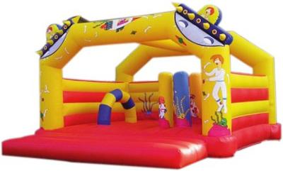 China Customizable Inflatable Amusement Equipment 5m x 4m x 3m for 5-10 Children CE ISO9001 for sale