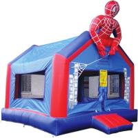 China Customizable Inflatable Amusement Equipment 5m x 4m x 3m for 5-10 Children CE ISO9001 for sale