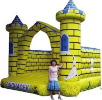 China Customizable Inflatable Amusement Park 5m x 4m x 3m PVC Tarpaulin Easy Setup for Theme Parks for sale