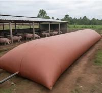 China Biogas Digester Tank 0.02-0.05 MPa Mechanical Mixing Organic Waste to Biogas Conversion for sale